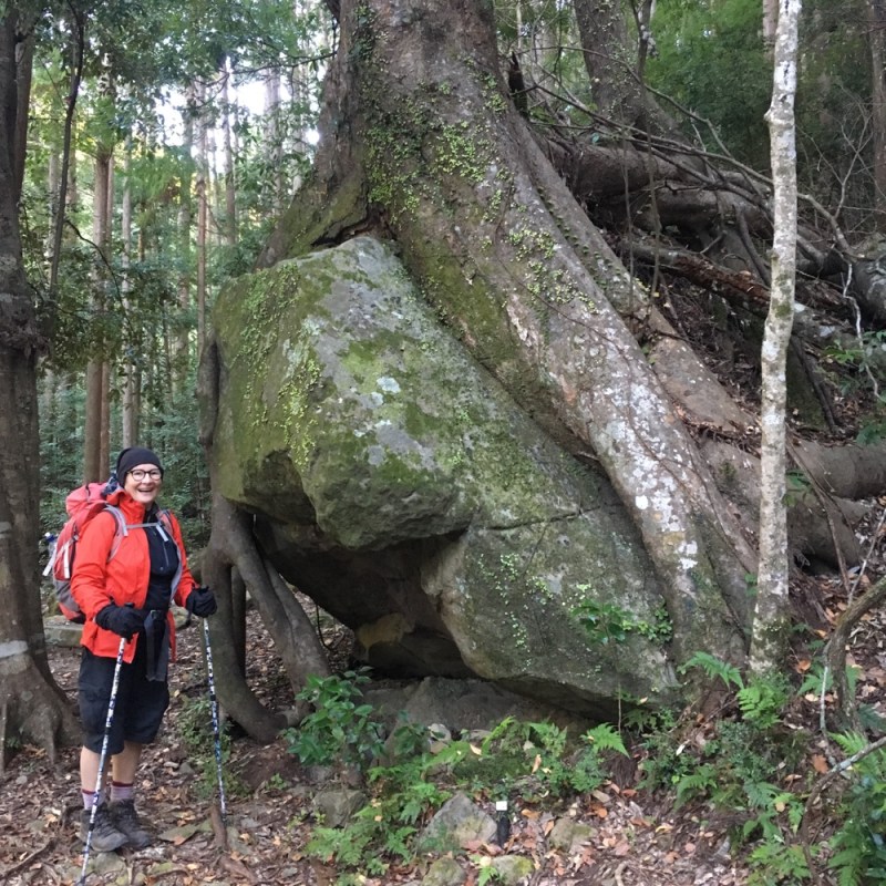 KUMANO KODO: The Nakahechi Pilgrimage 1 | Steve Barham